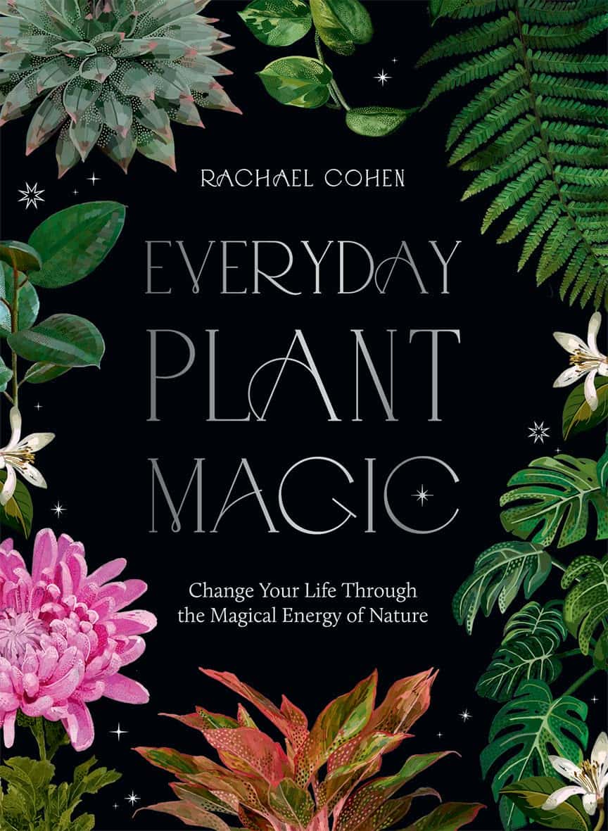 Everyday Plant Magic: Wellness in San Diego Podcast